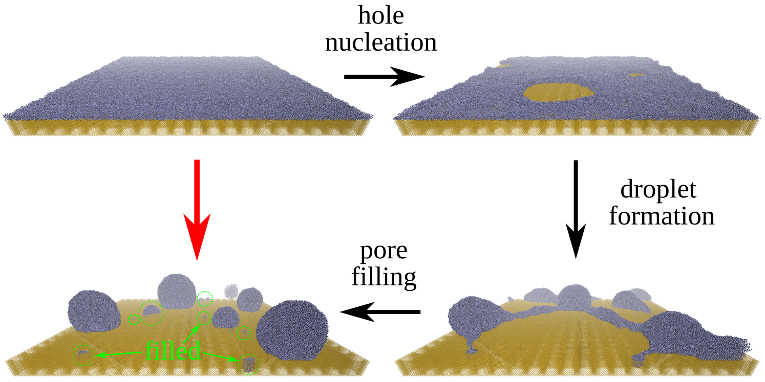 Dmitri’s Website - Nanoscale capillary action